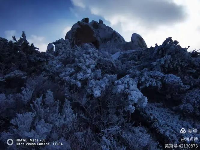 步步转是真的还是假的图标