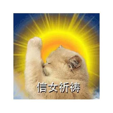 祈福保佑的表情包