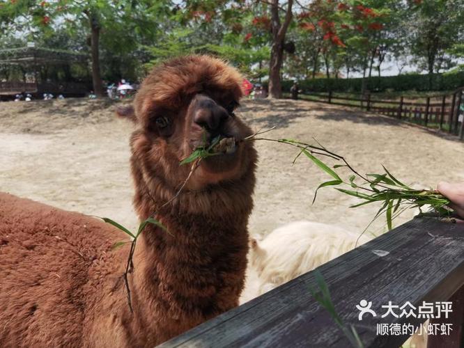 开心牧场怎么玩图标