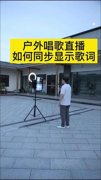 怎么把有歌词的歌变成伴奏截图