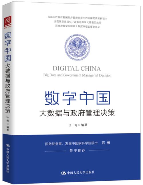 数字中国大数据图标