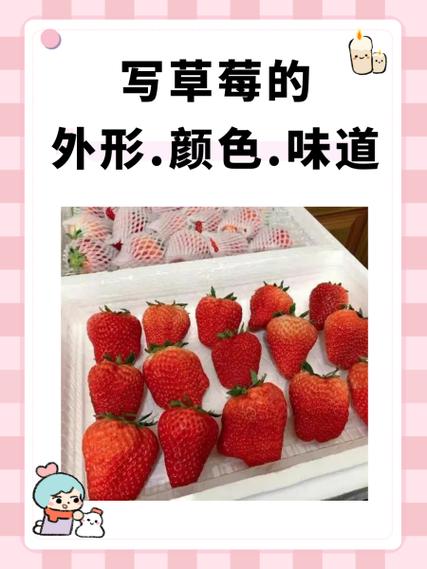 草莓的味道的描写图标