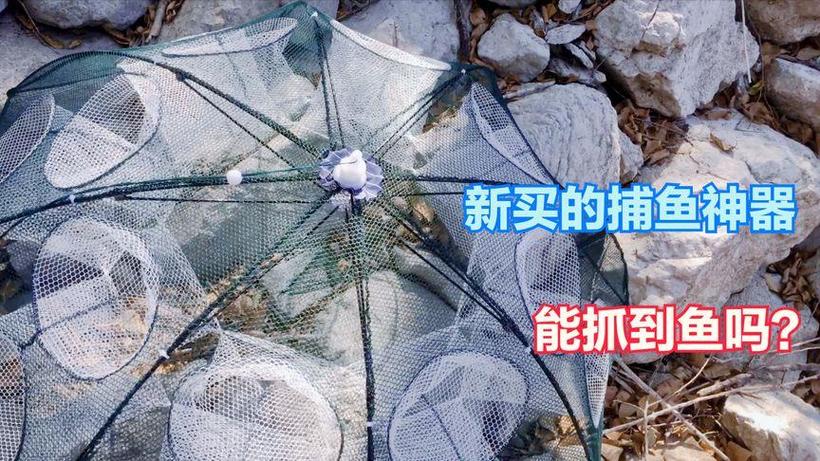 鱼塘怎样防偷鱼图标