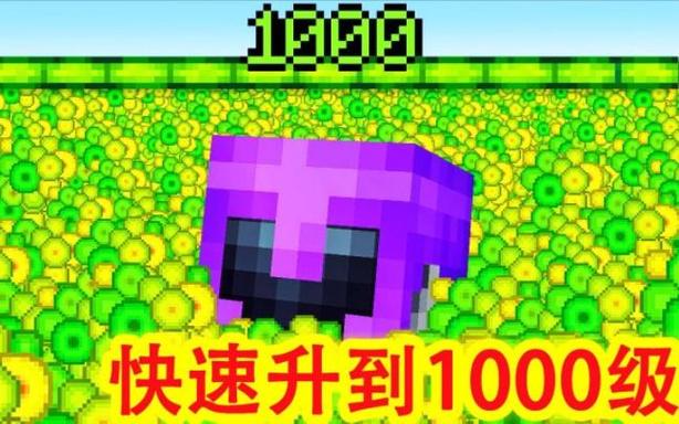 我的世界1000级经验图标
