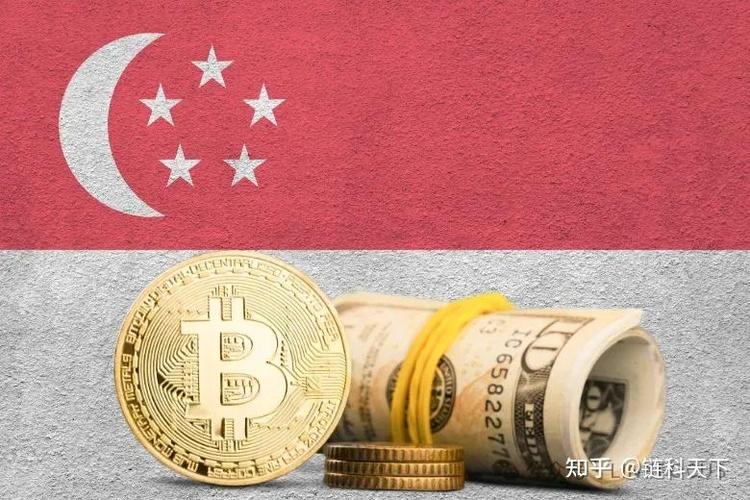 新加坡加密货币图标