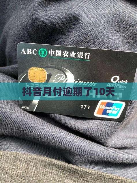 抖音月付最多逾期几天图标