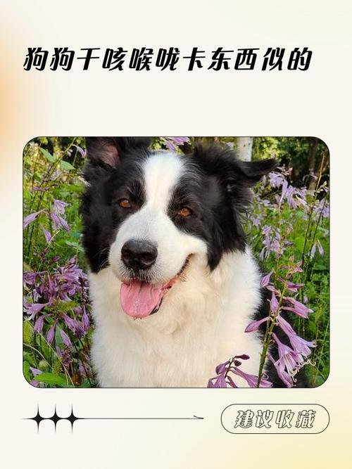 狗狗干咳喉咙卡东西似的图标