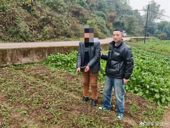 偷菜报警警察会处理吗图标