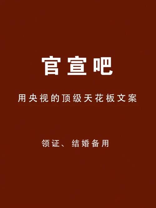 每日发圈任务