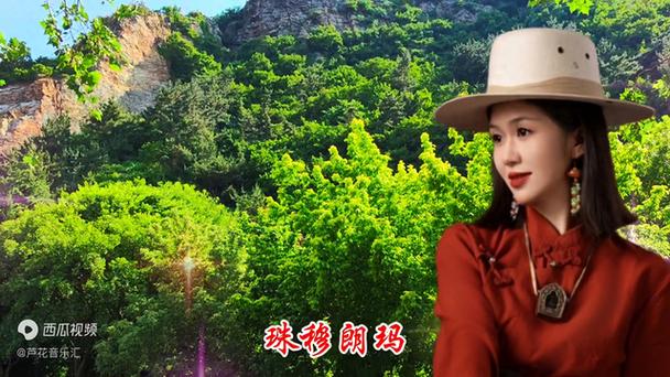 藏歌mp3歌曲免费下载图标