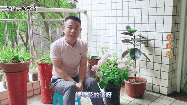 花动传媒图标
