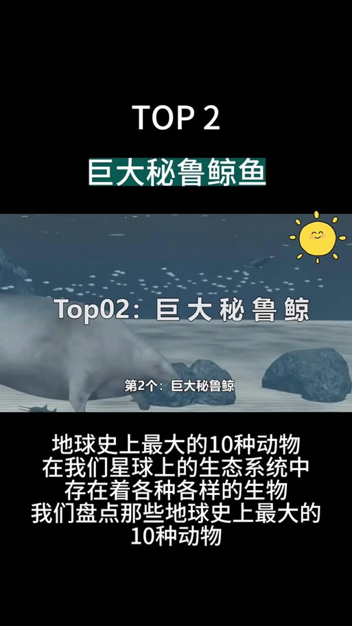 巨象鲸图标