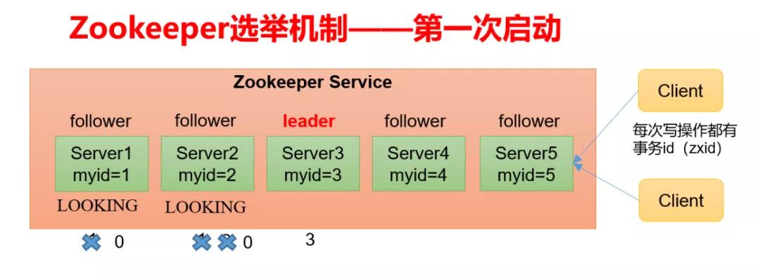 Zoology和Zookeeper的区别截图
