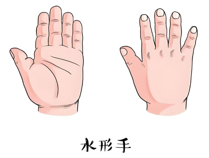 手的大小是天生的吗截图