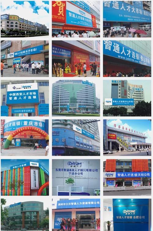 智通人才图标