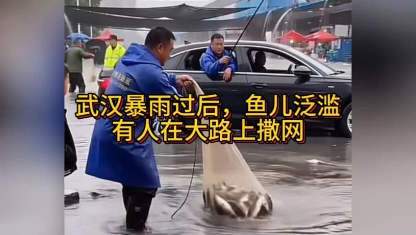 鱼儿来鱼儿来我们没有网我们没有钩截图
