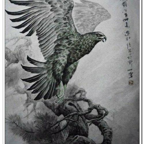 主角外号叫猎鹰的小说图标