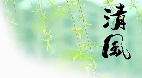 清风扫花蕊截图