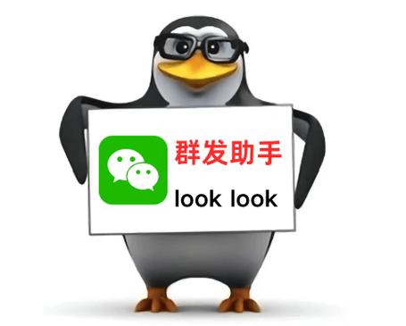 陌生号码短信群发图标