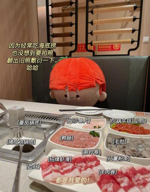 海底捞孕妇有哪些服务图标