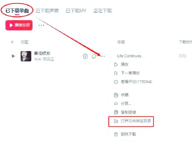 网易云付费歌曲怎么转换mp3格式截图