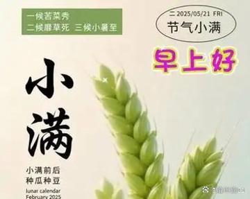 小满比喻人生图标