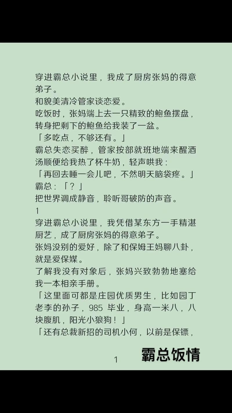 饭饭小说改名叫什么了图标