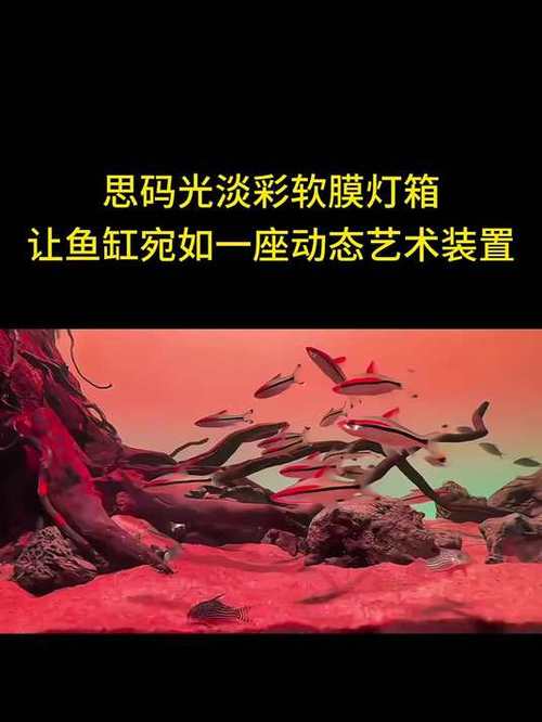 DIY鱼缸灯箱图标