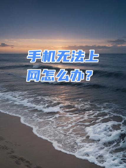 手机被限制上网如何破解截图