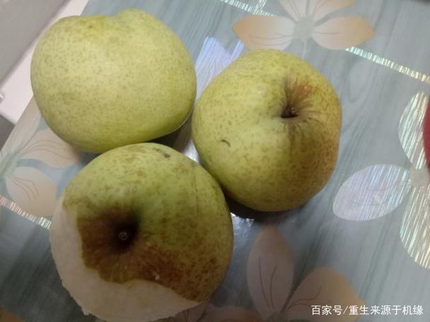 梨吃多了的危害图标
