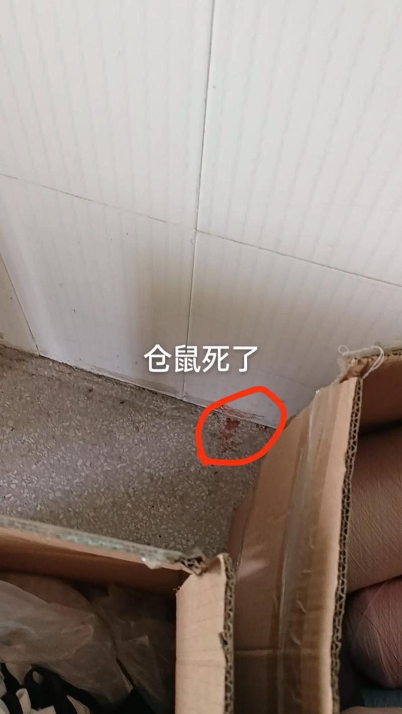 仓鼠被活活虐死图标