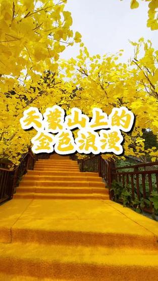 解锁黄金大道的视频截图