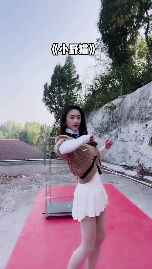 小野猫直播回归地址图标