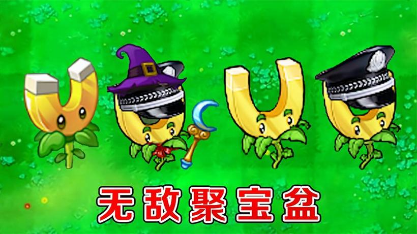 植物大战僵尸吸金菇的范围有多大