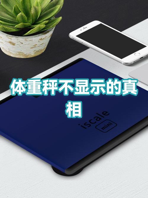 体重秤显示屏不显示了怎么回事图标