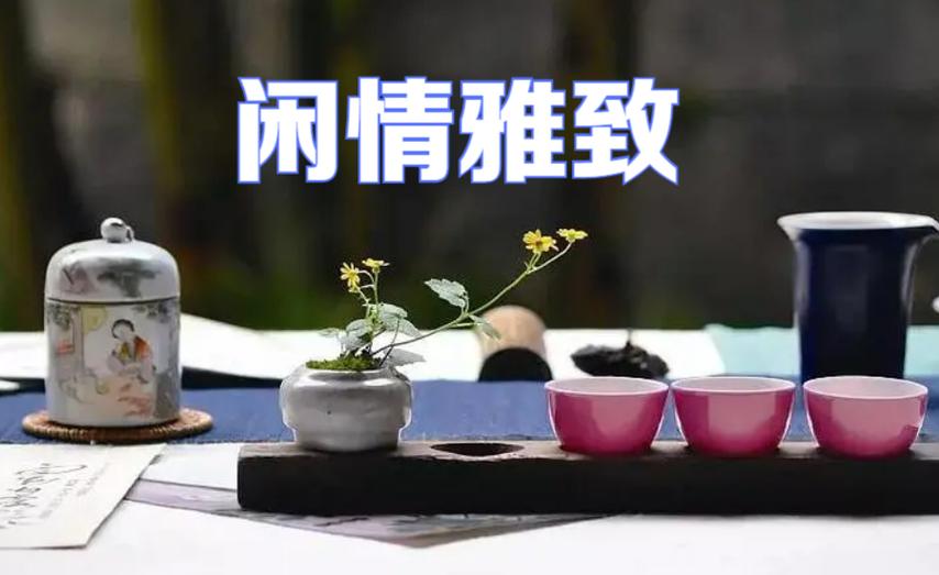 雅致一般比喻什么人图标