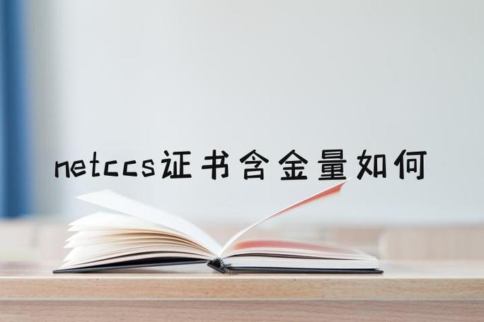 NETCCS含金量高吗图标