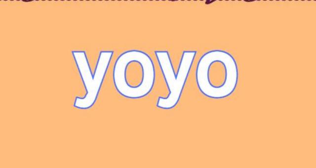 YOYO代表什么截图
