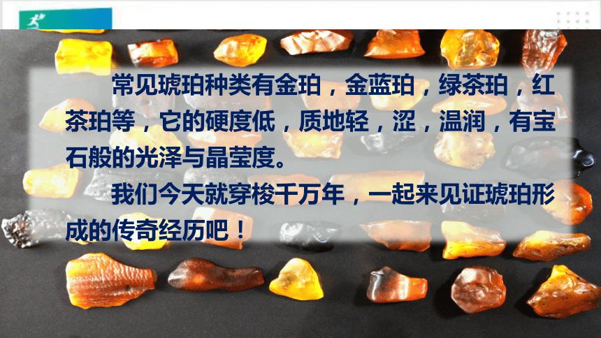 琥珀的相关资料截图