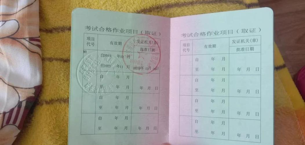 办理叉车证到哪里办理多少钱图标