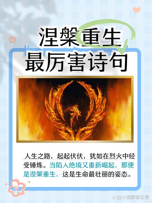 百词斩找回被斩的单词图标