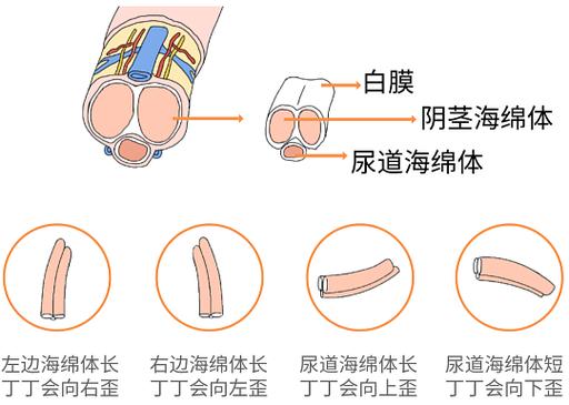 男性变粗变长图标
