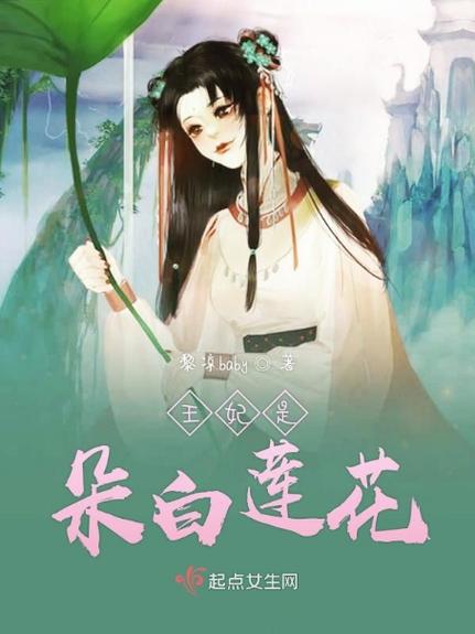 白莲花小说图标