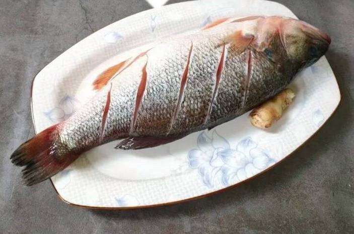 新鲜鲈鱼如何保存图标