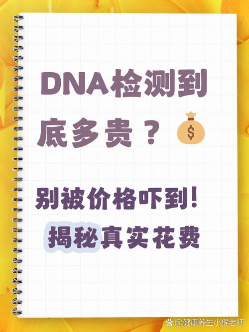 元界DNA初始价格图标