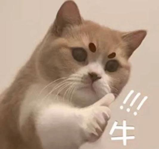 赞美表情包图片大全图标