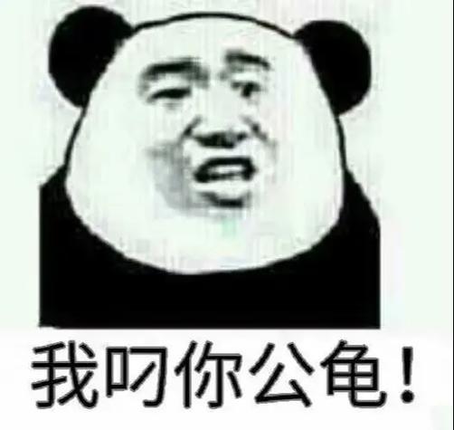 吊你公龟意思截图