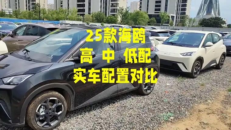 海鸥活力版和自由版的区别图标
