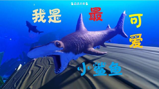 天铭海底大猎杀锤头鲨截图