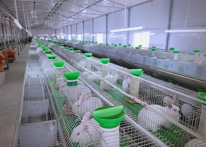 兔子深加工厂